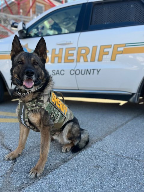 Sac County Sheriffs Office K9 Remo Has Received Donation Of Body Armor