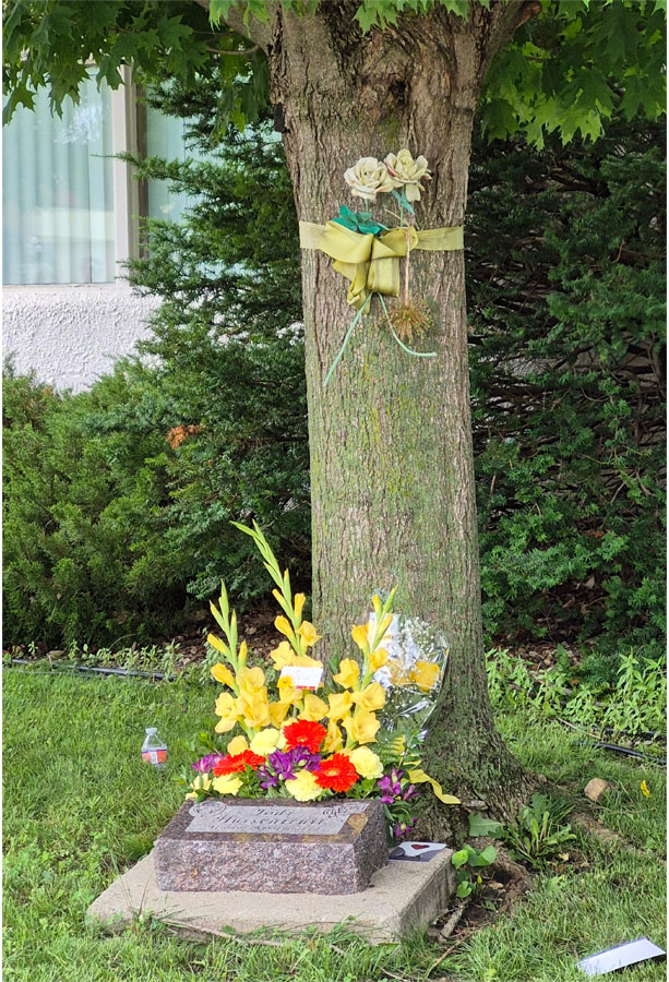 Hulu launches docuseries on long-missing Mason City journalist « KJAN ...