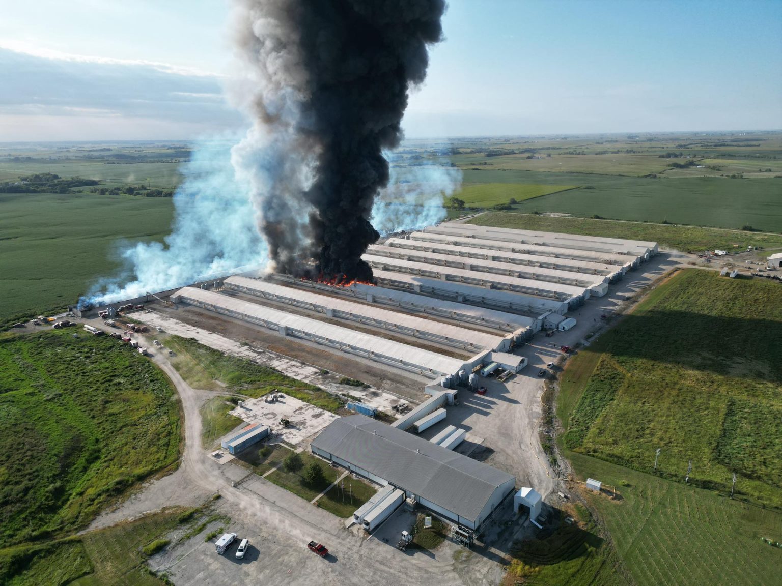 Second major fire in four years at southwest Iowa chicken farm « KJAN ...